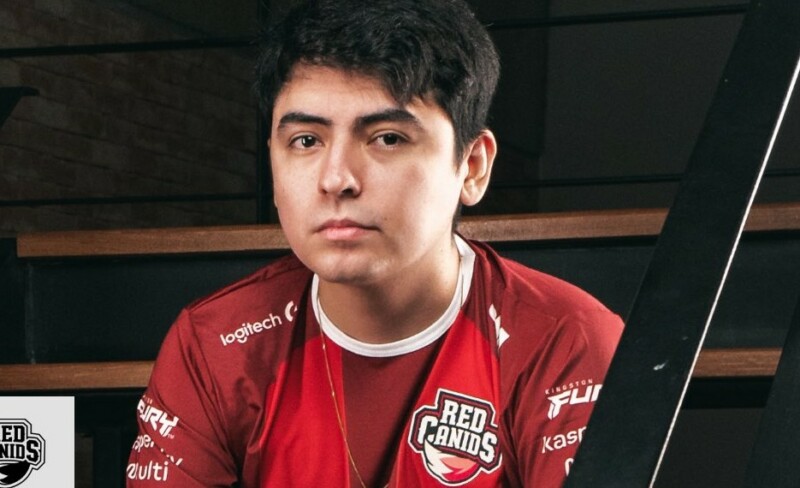 A caminho da paiN, dav1d rompe com a RED Canids | DRAFT5 - Notícias e ...